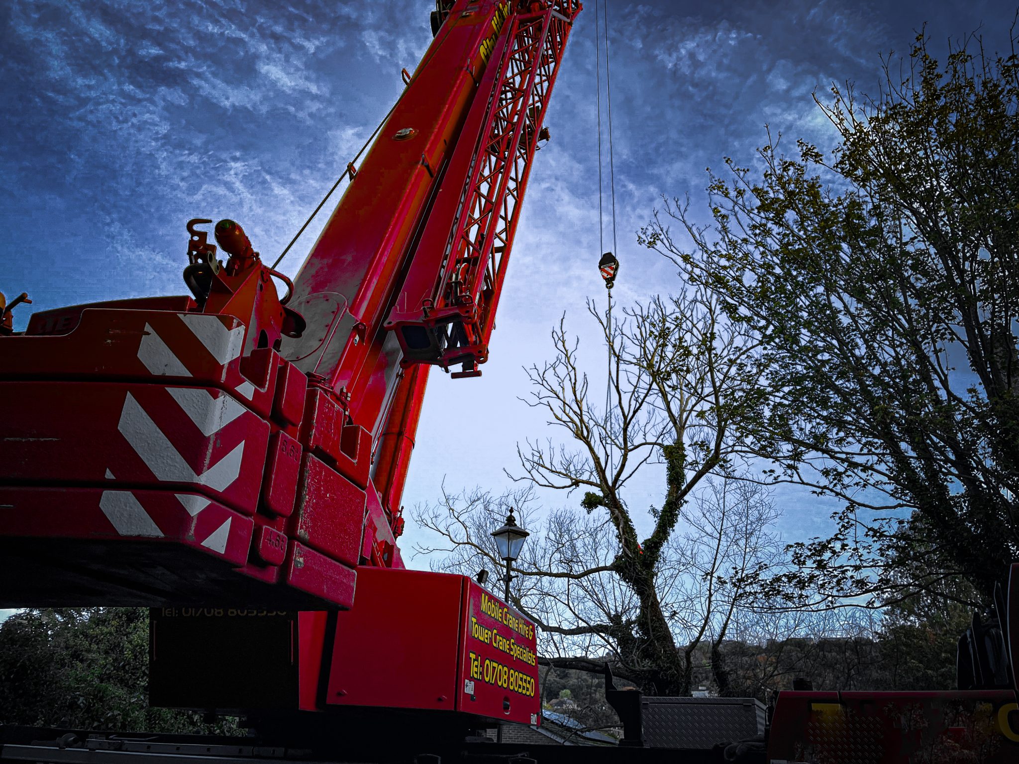Felling A Tree For East Kent College | About Trees Ltd | Kent