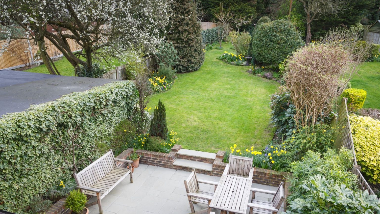 Overhanging Tree: Which Neighbour Is Responsible? - About Trees